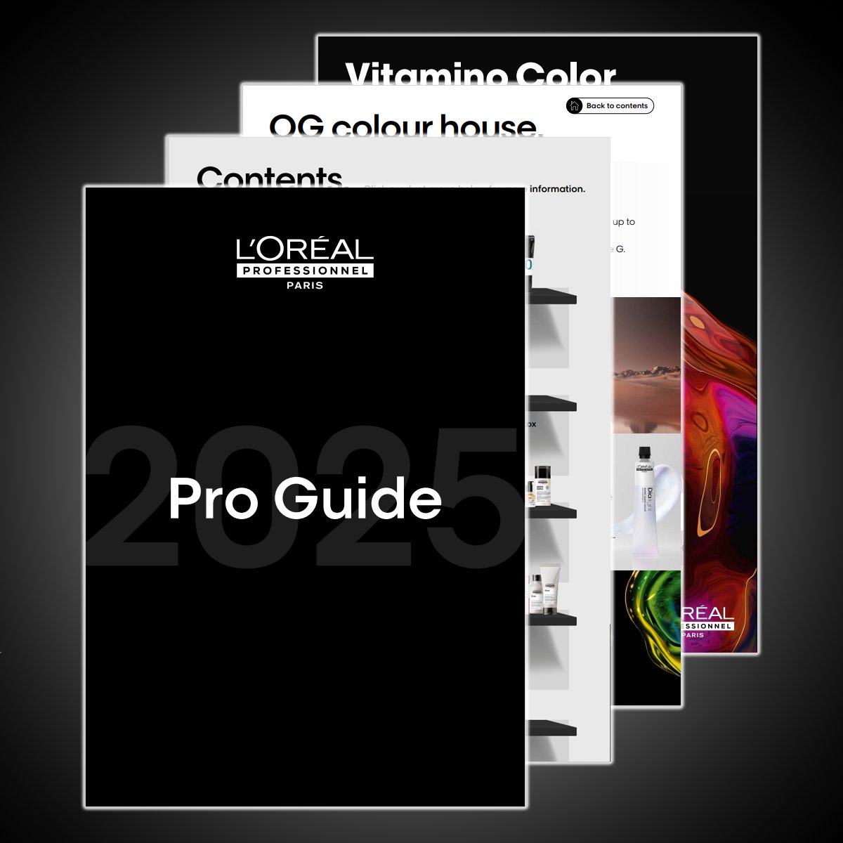 loreal brand guidelines